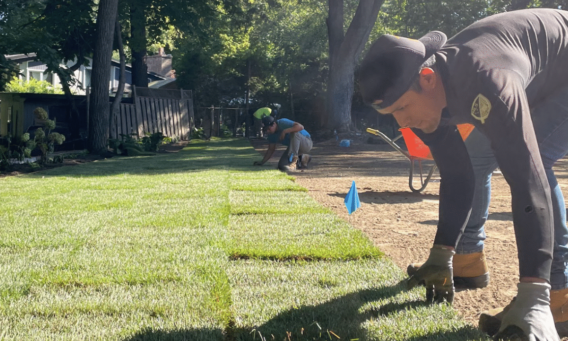 The Complete Step-by-Step Process of Professional Sod Installation ...